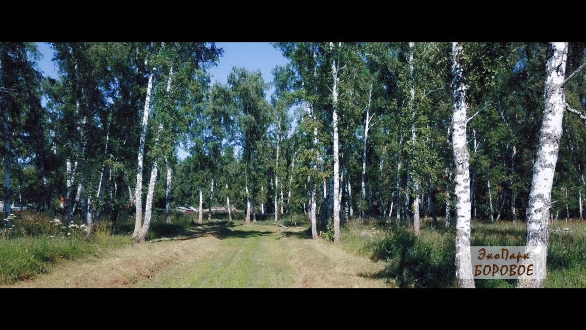 Виды экопарка — Экопарк "Боровое"
